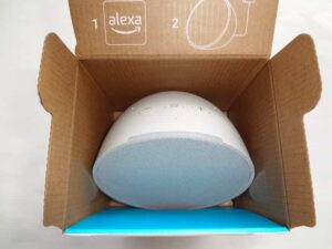 Echo Pop 設定 初めてのアレクサ 便利に使うには | green puddle