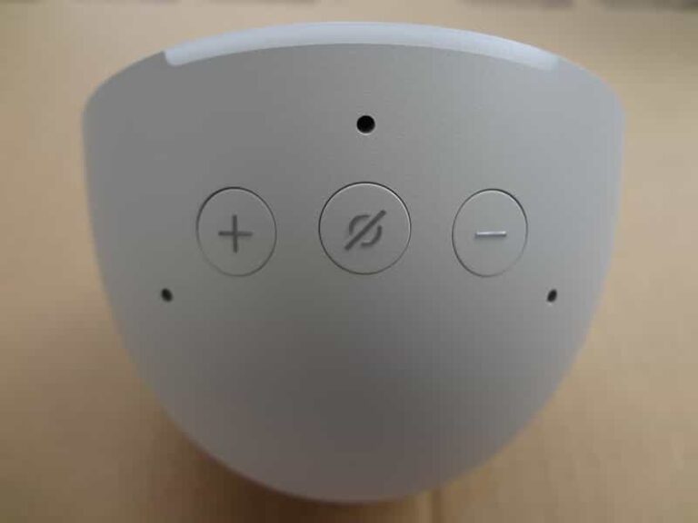 Echo Pop 設定 初めてのアレクサ 便利に使うには | green puddle