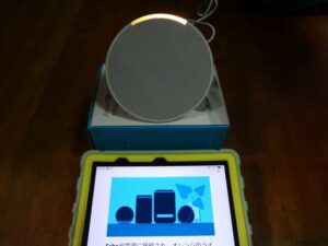 Echo Pop 設定 初めてのアレクサ 便利に使うには | green puddle